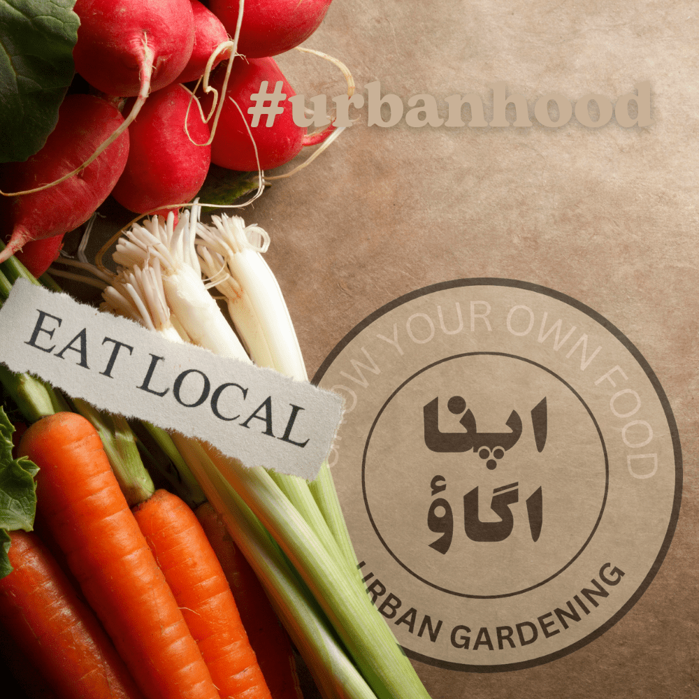 Urban Gardening in Pakistan | Small Step to Food Security