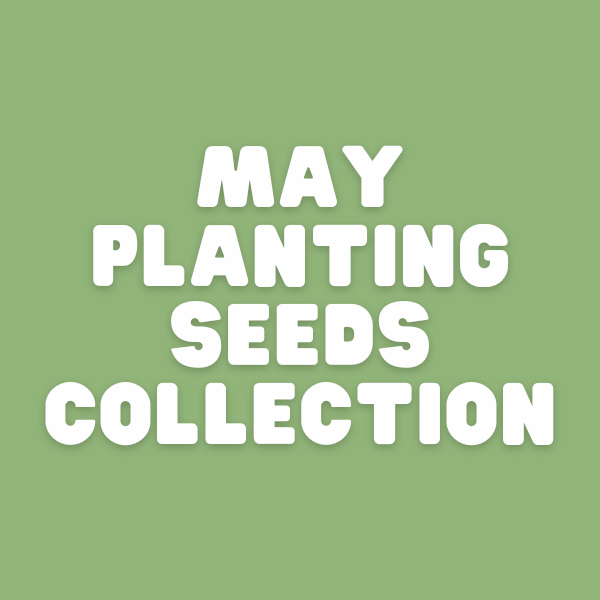 Seeds for May – Summer Vegetables, Herbs & Flowers