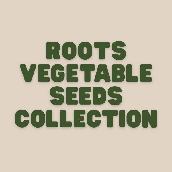 Root Vegetable Seeds – Carrots, Beets, Radishes & More | Buy Online