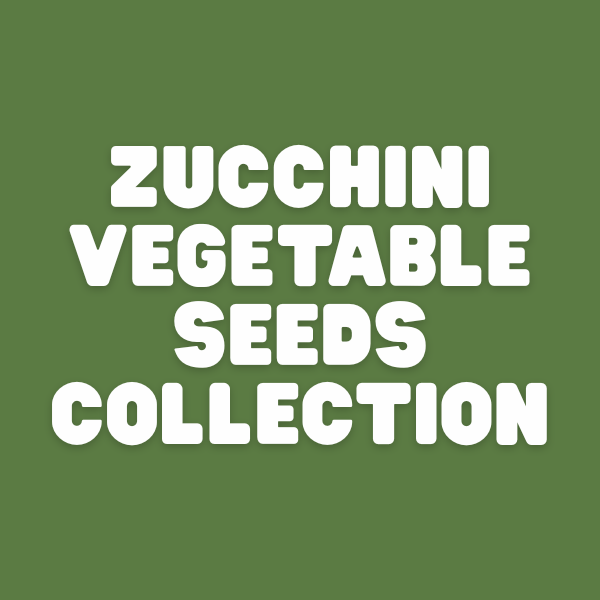 Zucchini Tori ( توری ) Seeds in Pakistan –For Home gardening