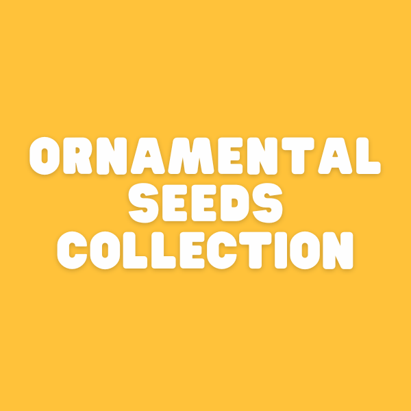 Ornamental Seeds – Decorative Trees, Grasses & Plants