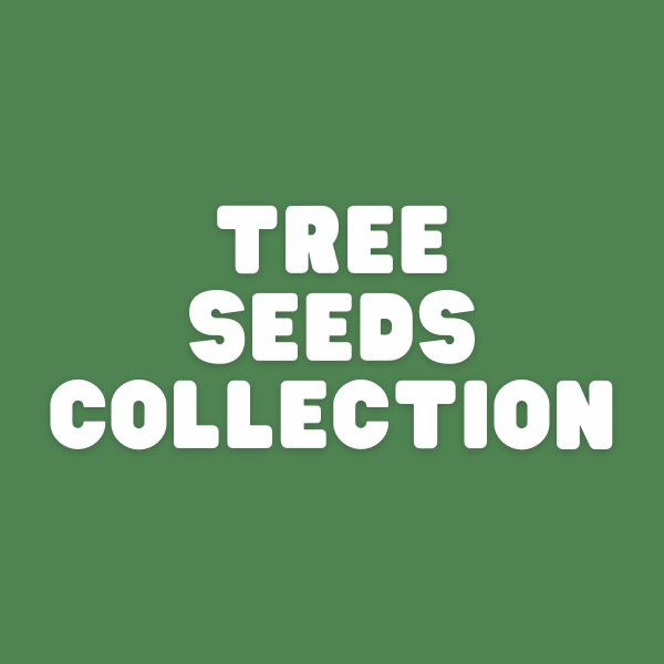 All types of tree seeds available in Pakistan
