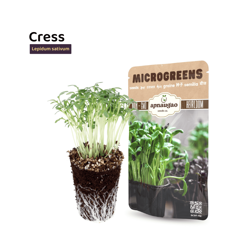 Garden Cress Microgreens Seeds – Fast-Growing Spicy Greens